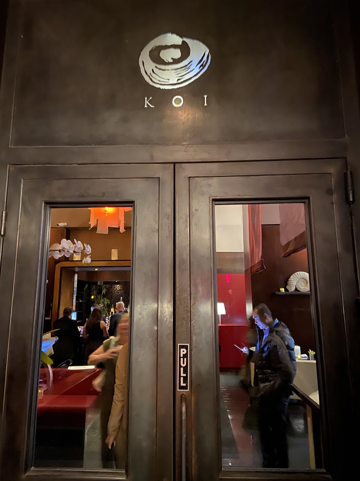KOI – New York, NY – Gator Girl – Out of the Swamp