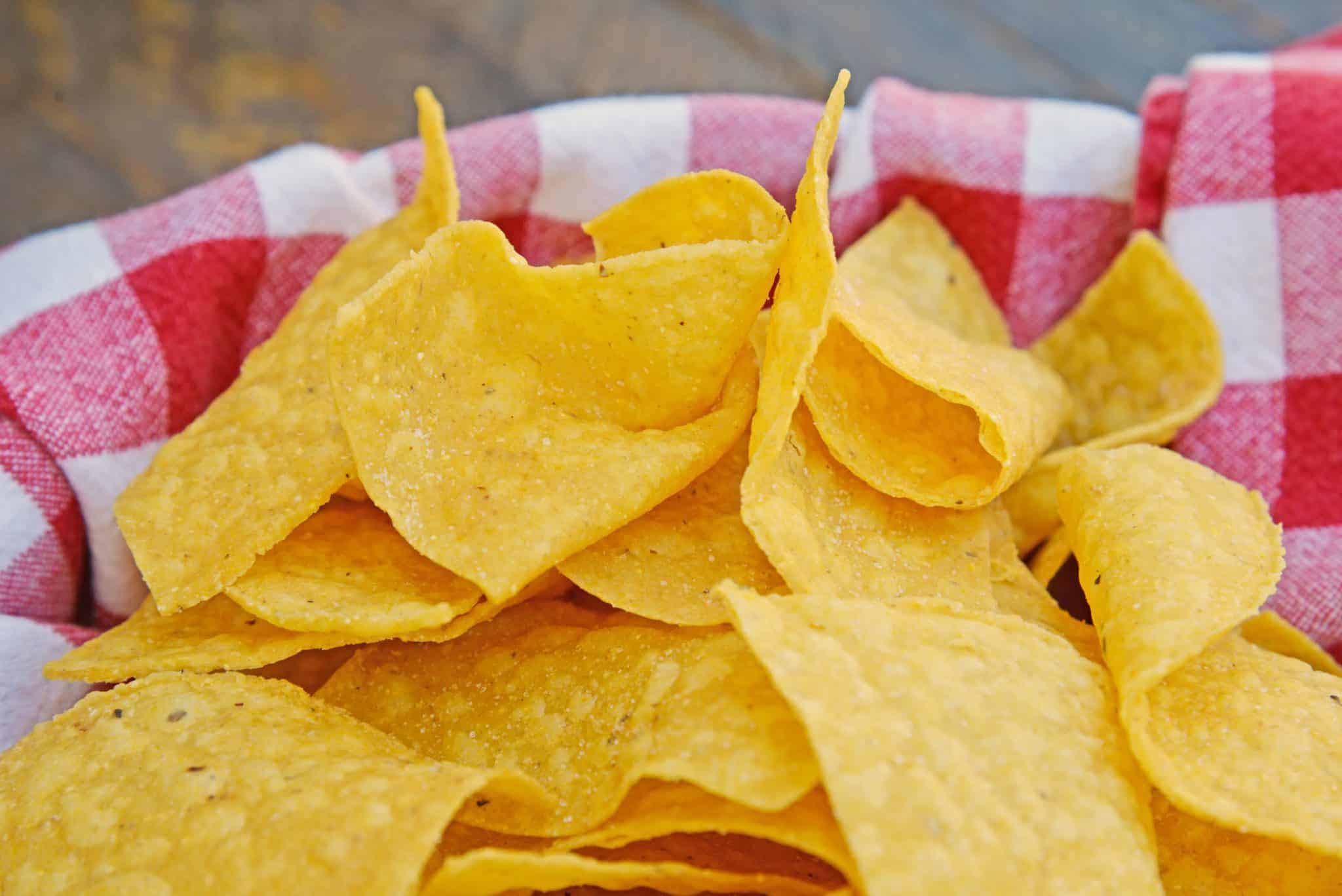 Tortilla-Chips – Gator Girl – Out of the Swamp
